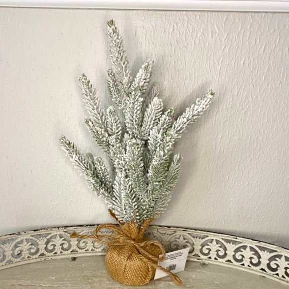 Barb's Tree Farm | Holiday | Barbs Tree Farm Xmas Spruce Tree | Poshmark